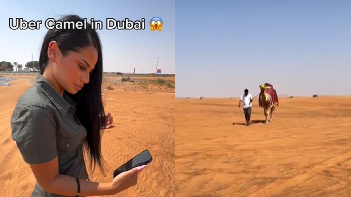 妹子在杜拜沙漠迷路呼叫Uber求救「出現駱駝」接送？網友笑：果真「應該都點得到」 | 地球黃金線