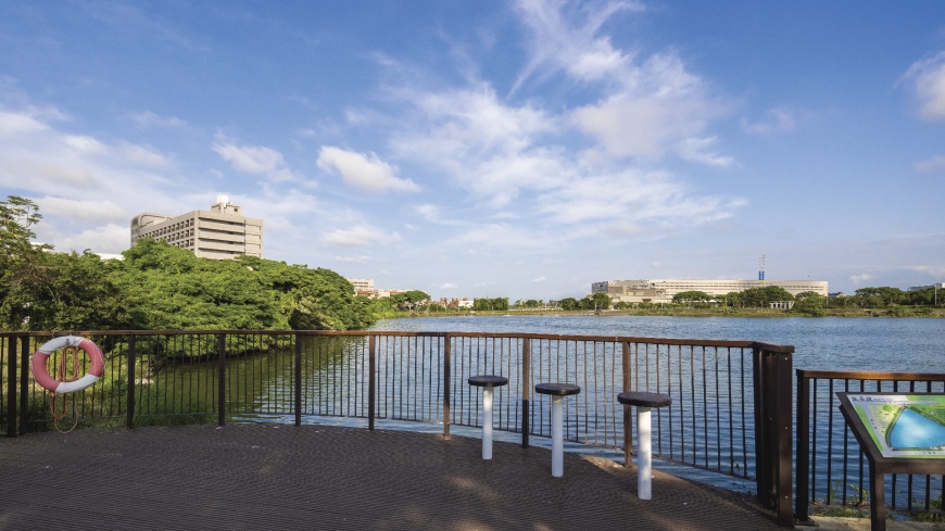 航空城副都心政策加持 客運特區3字出頭房價先蹲後跳│TVBS新聞網