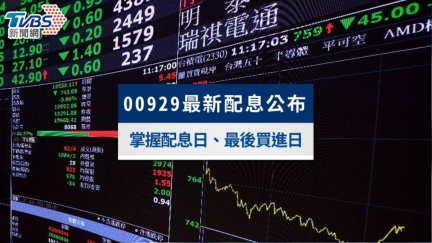 00919配息王「升級40檔軍團」！達人改抱ETF讚：穩定現金流│TVBS新聞網