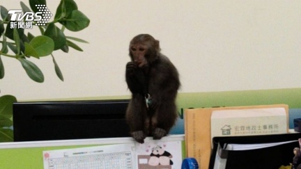 快訊／負責人涉FANS 17逼少女下海 爆料公社：個人行為│TVBS新聞網