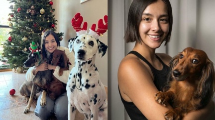 詐騙猖獗！緬甸交克比KK園區「更恐怖」 軍閥勢力勾結分析一次看│TVBS新聞網