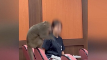 QS世界大學學科排名出爐 這所「中字輩大學」醫科等20學科入榜│TVBS新聞網