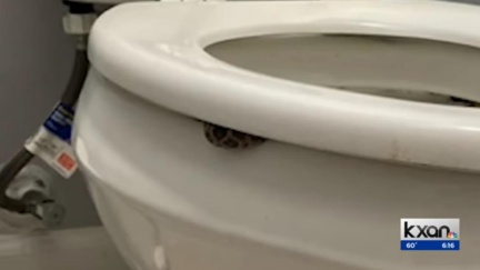 中國留學生Jolin嫁世界第3富豪 成甲骨文創辦人第5任妻神秘身世起底│TVBS新聞網