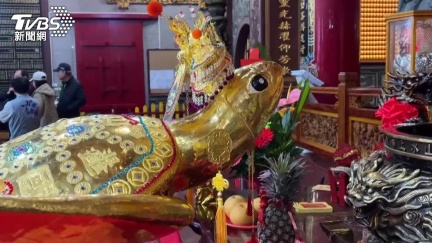 228連假訂房率「全台不到5成」！最慘不是花蓮 南部重鎮墊底│TVBS新聞網