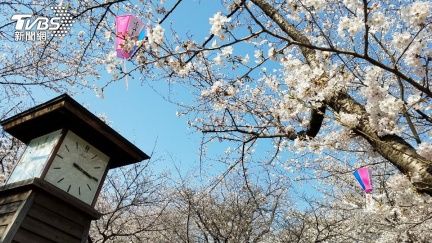 看不到盡頭！飛日賞櫻...成田機場「入境排2hrs」│TVBS新聞網