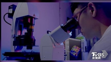 WBC資格賽／最驚奇選手？球迷刷一排「2D天下無敵」：完全被圈粉│TVBS新聞網