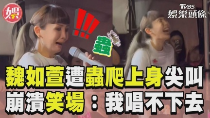 看球被60公斤百葉窗砸死！韓職NC恐龍被迫換主場 比賽沒官方應援│TVBS新聞網