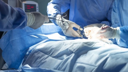 孩子媽控遭斷金援「賣車維生」 馬斯克反擊：已給8300萬、願驗DNA│TVBS新聞網