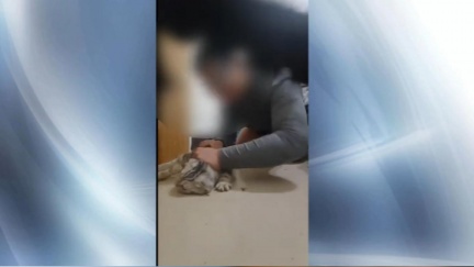 創意私房「會員價目表」流出！VIP分4等級 驚人金額曝│TVBS新聞網