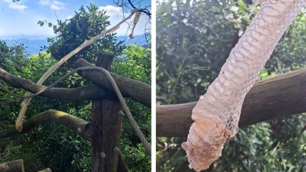 一條圍巾起家 上比靠MIT與AI說台灣的故事│TVBS新聞網