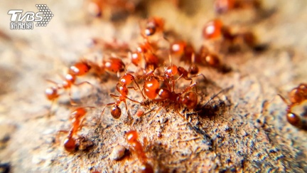 新台幣漲翻天！WSJ曝「台灣2產業」遭殃 跟美元脫不了關係│TVBS新聞網