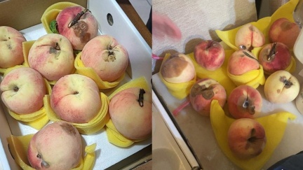 後悔升級5G！他問「有人死守4G嗎」 全場曝3關鍵狂點頭│TVBS新聞網