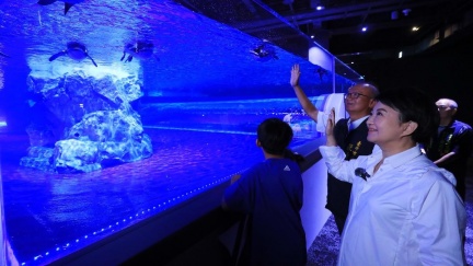 TBC公告4頻道停播 NCC：若確認違規將依法查處│TVBS新聞網