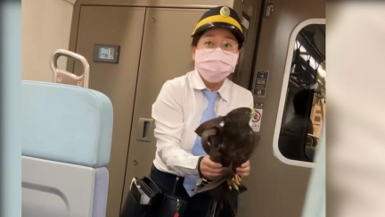 這款零食中元普渡必備「年疊2千萬座101」 網讚：良心企業│TVBS新聞網