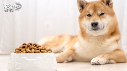 iPhone空間救急！3C達人授9招釋放容量方法 操作簡單免花錢│TVBS新聞網