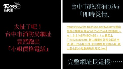 不讓少數總統再現！藍委推「總統二輪決選制」 盼2028實施│TVBS新聞網