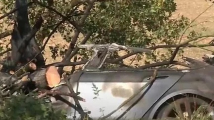 H-1B年費破300萬！白宮澄清「僅適用新申請人」：一次性費用│TVBS新聞網