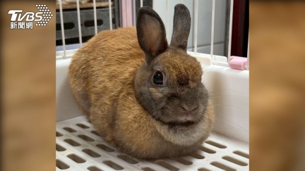 這款母親！母賣房拿錢走人 468萬稅丟給17歲女兒揹│TVBS新聞網