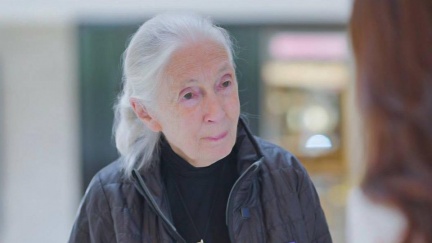 曾沛慈自招是外貌協會！理髮店意外「邂逅天菜」 學長1句話改變一生│TVBS新聞網