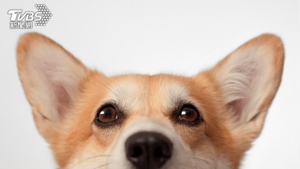 「遠傳」愛心深入花蓮 5G遠距診療政策延長至10/9│TVBS新聞網