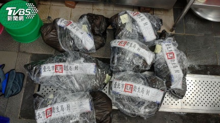 「YT雪姨」喊戶政司警告涉假訊息！ 內政部要查│TVBS新聞網