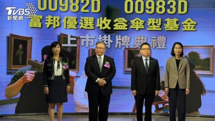 川普實現TACO交易台股大反彈 專家：前景仍有AI樂觀支撐│TVBS新聞網