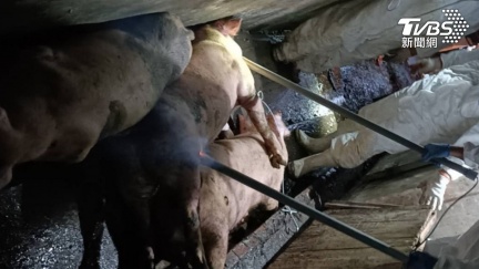 主任駁兒童加護病房醫師時薪900元 醫見工作內容：23萬也不夠│TVBS新聞網