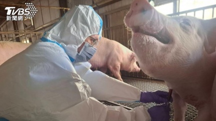 中職／季後挑戰賽獅、猿名單亮牌 G1獅蒂芬VS魔神樂│TVBS新聞網