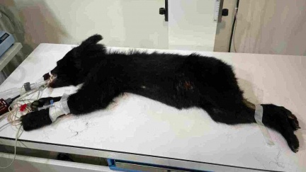 租約到期宣告熄燈！新北第一間GU「12/7結束營業」 在地人不捨│TVBS新聞網