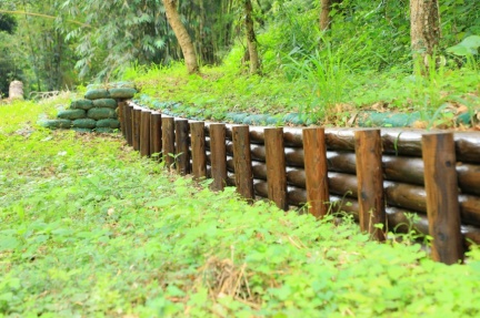 《真珠美人魚》驚見「兒童不宜」畫面？網曝原著更猛：改很多了│TVBS新聞網