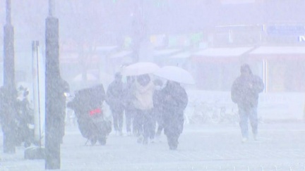 北京初雪吸破萬遊客！170人搶拍故宮美景慘摔 骨折急送醫│TVBS新聞網