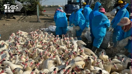 高三生注意！「1大學」發新生獎學金 4年最多領240萬│TVBS新聞網