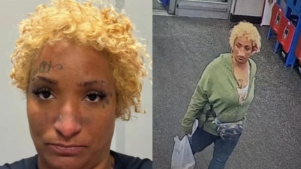 暖化衝擊！美報告：北極125年來最熱 2040前恐見無海冰夏季│TVBS新聞網