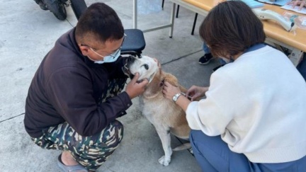 昔200隻今剩30隻！猴硐貓村「1原因」貓口銳減 居民好擔憂│TVBS新聞網