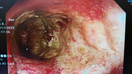 帶妻兒泡「泰安第一湯」！73歲翁溺斃百年警光山莊大眾池│TVBS新聞網