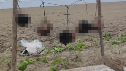 微軟大砍 iOS/Android 應用程式 Lens 將悄悄下架│TVBS新聞網