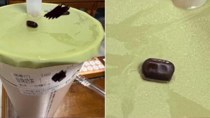 過胖「罹13種癌」風險飆高！營養師示警：25歲前也要當心│TVBS新聞網