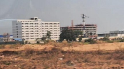 消失10年 巴西陸龜受困地板下竟不吃不喝「奇蹟生還」│TVBS新聞網