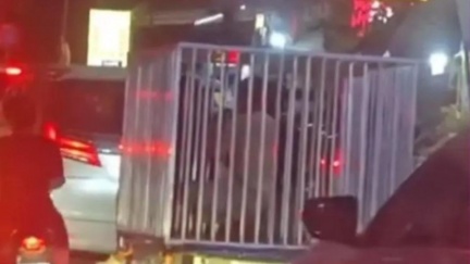 環遊世界圓夢！日女繼承「900萬遺產」秒辭職 回國一原因後悔了│TVBS新聞網