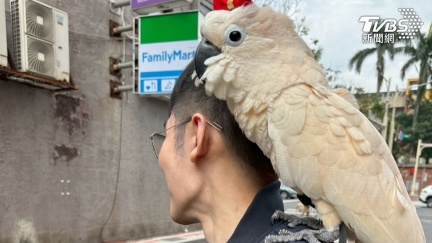 新北金城日照中心開幕 提供多功能複合式照顧│TVBS新聞網