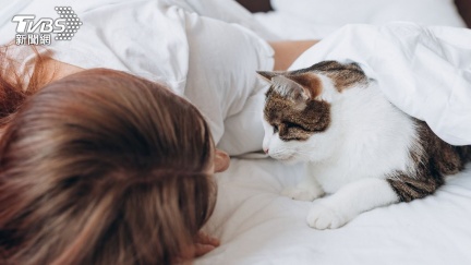 誤會！「魯肉飯39漲到71元」網喊不吃了 鬍鬚張急澄清│TVBS新聞網