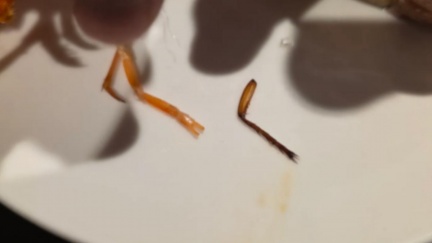 三一東林轉虧為盈！目標2026年打造50座AI洗車園區│TVBS新聞網