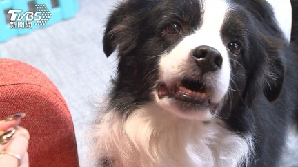 教育部發錢了！「最高35萬」行動金 出社會也可領│TVBS新聞網