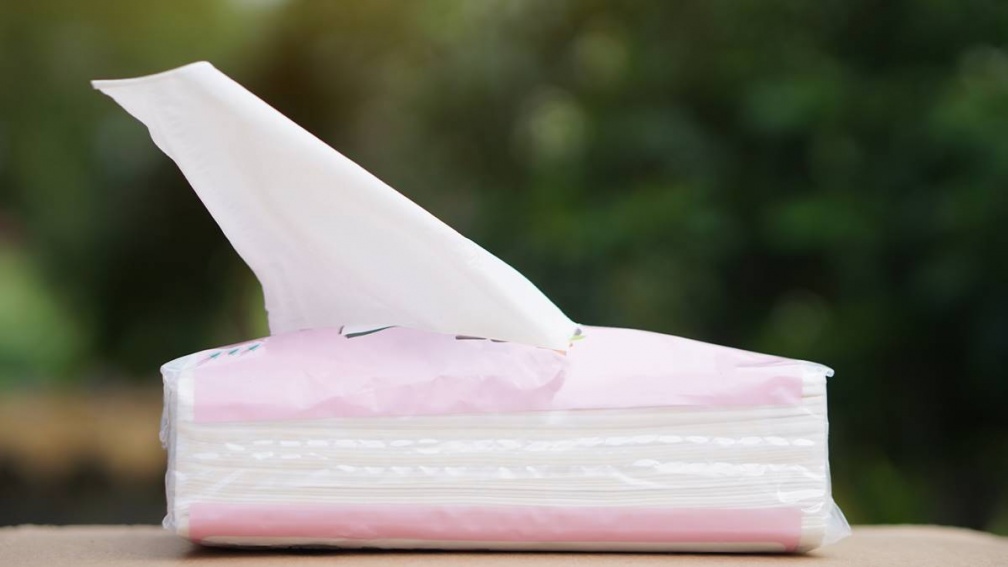 衛生紙袋別當垃圾丟掉！環保局揭正確回收方式，違規丟錯開罰6000元|食尚玩家