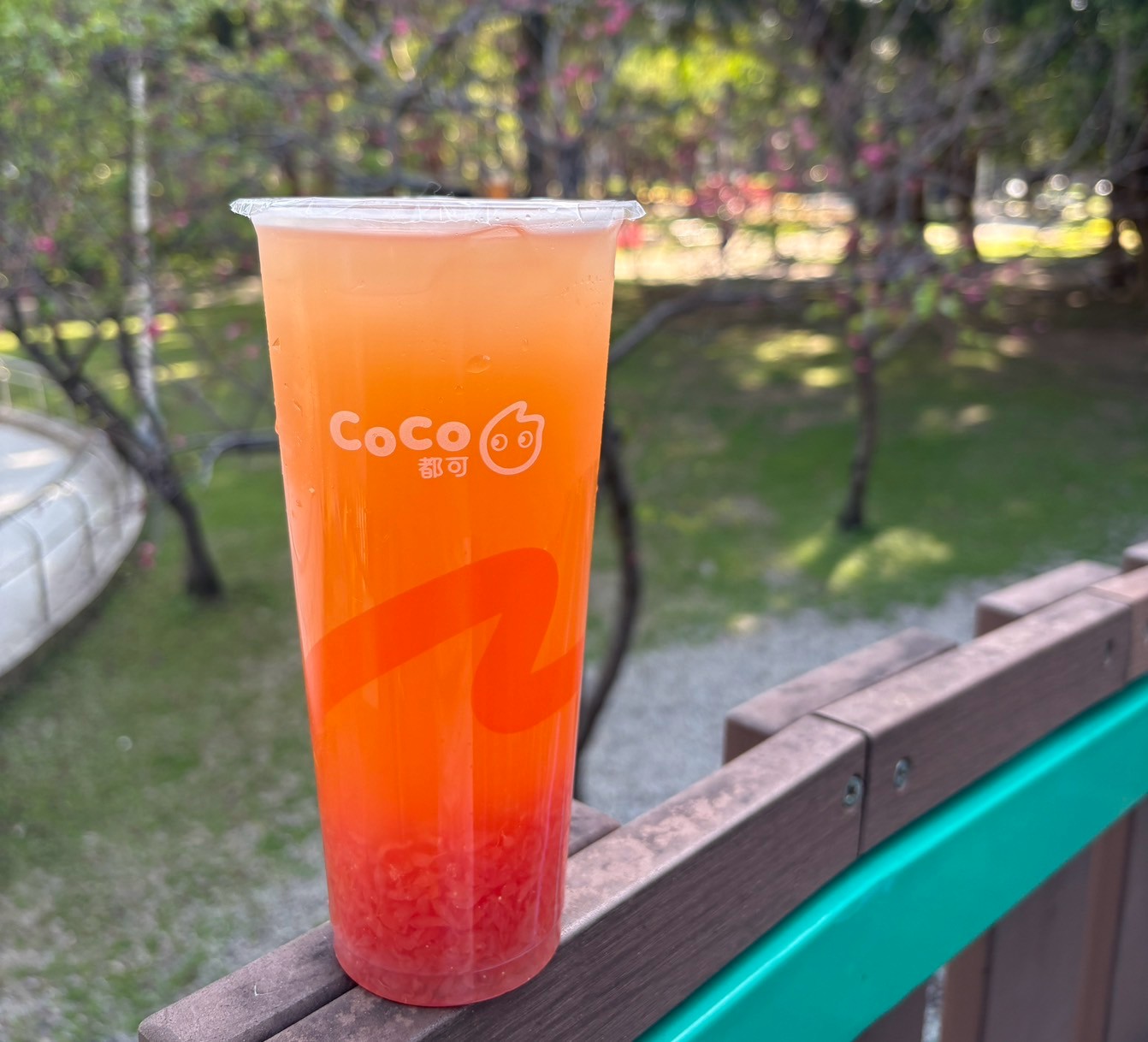 手搖飲買一送一！國際珍奶日優惠／CoCo／翰林茶館／麻古茶坊|食尚玩家