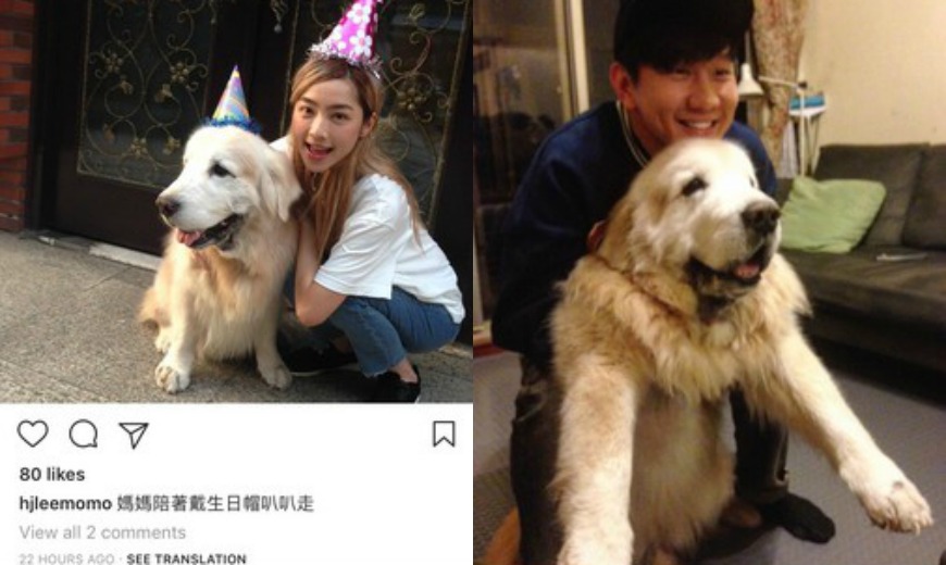 狗狗露餡了... 林俊傑爆秘戀「天氣女孩」？！│愛犬MOMO│TVBS新聞網