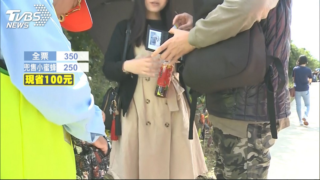 直擊！花博售票小蜜蜂 賣預售票1票賺50│TVBS新聞網