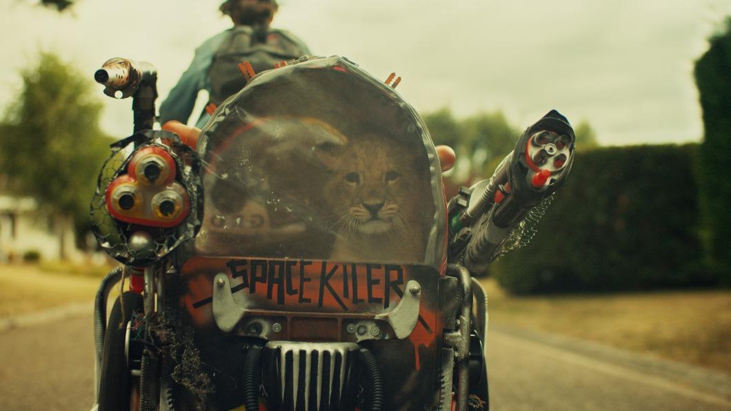 《小獅子王》找6個月大真獅當主角 不怕鏡頭模樣超萌Q│TVBS新聞網