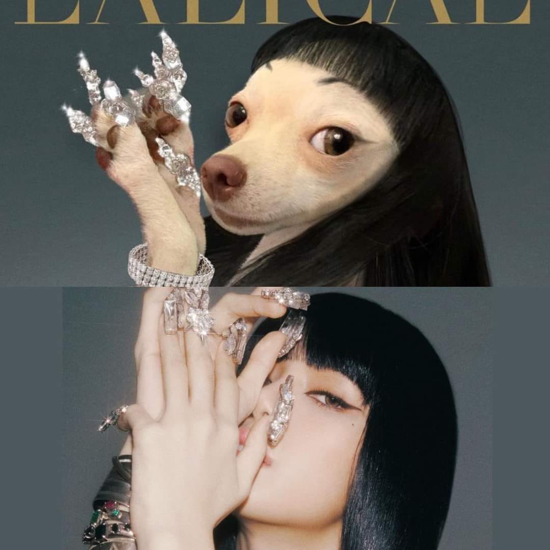 比Lisa撫媚！吉娃娃神Cos多位巨星 網笑：不是叫你超越│TVBS新聞網