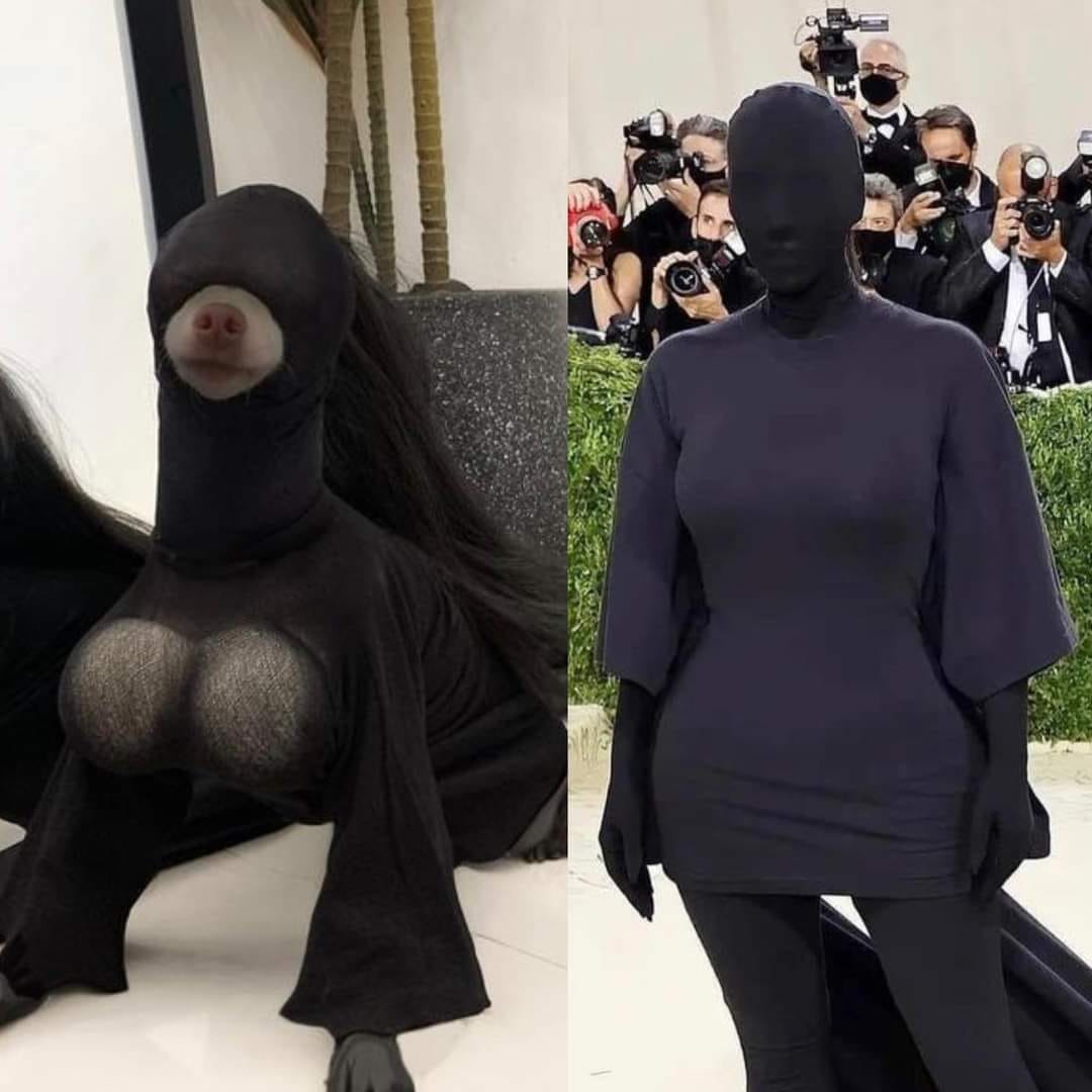 比Lisa撫媚！吉娃娃神Cos多位巨星 網笑：不是叫你超越│TVBS新聞網